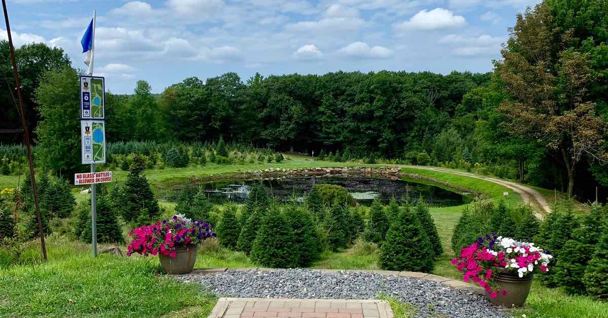 Best Disc Golf Courses in Texas: Top Scenic Spots to Play - Best Disc ...